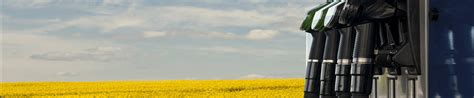 Biofuels Us Canola Association Non Profit To Increase Us Canola