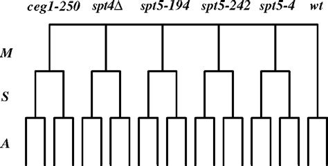 Figure 4 From Identifying Differentially Expressed Genes From
