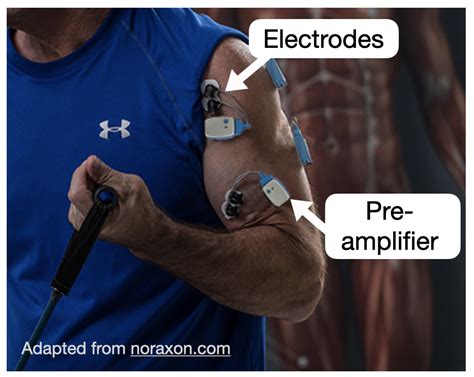 What Is Muscle Emg And How To Use It Get Back To Sport