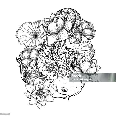 수련 꽃 스케치와 잉어 잉어 벡터 그림입니다 문신 인쇄 티셔츠 프린트 패브릭 및 기타 용도에 대한 손으로 그린 일러스트레이션 비단잉어에 대한 스톡 벡터 아트 및 기타 이미지