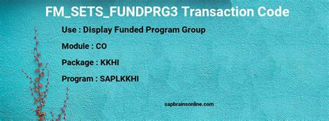 FM SETS FUNDPRG3 SAP Tcode For Display Funded Program Group