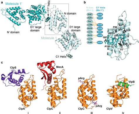The Substrate Binding Interface Of The Hsp104 N Domain A Molecular Download Scientific