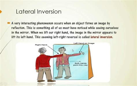 What Is Lateral Inversion Explained With Examples Teachoo Porn Sex