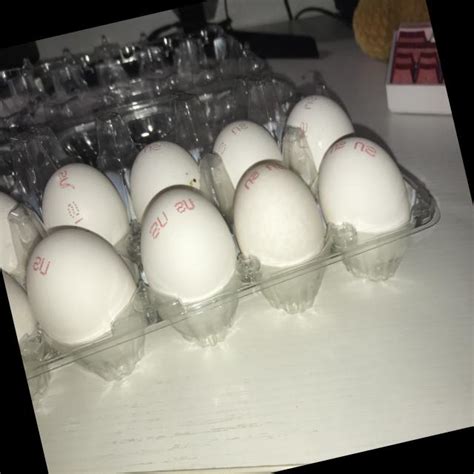 Egg Detection Object Detection Dataset And Pre Trained Model By