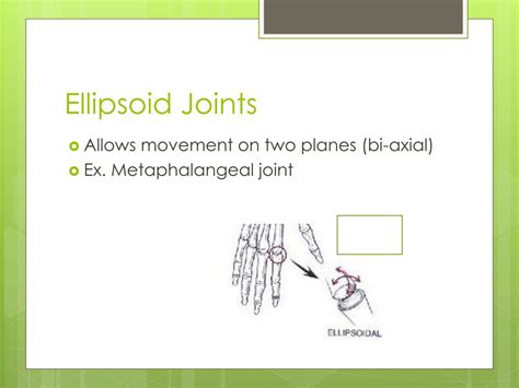 Ellipsoid Joint Definition And Examples At Elizabeth Blanche Blog