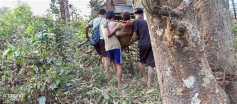 Khit Thit Media On Twitter မင်းတပ်၊ ပန်းပါရွာကို စစ်တပ်က တိုက်လေယာဉ် ၂ စီးဖြင့် ၆ ကြိမ် ဗုံးက