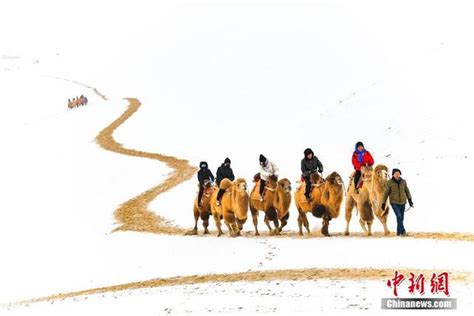 甘肃敦煌新春迎瑞雪 大漠戈壁白雪茫茫 新浪图片