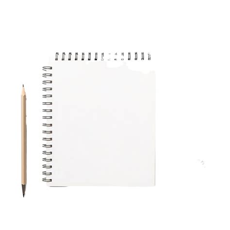 Notebook In The Center Of Cute Christmas Decoration Fir Christmas