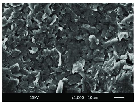 Sem Image Of Anthrone3 Modified Screen Printed Electrode Download Scientific Diagram