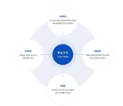 계명대학교 동산병원 자소서 항목 미션 비전 인재상 널스피팅