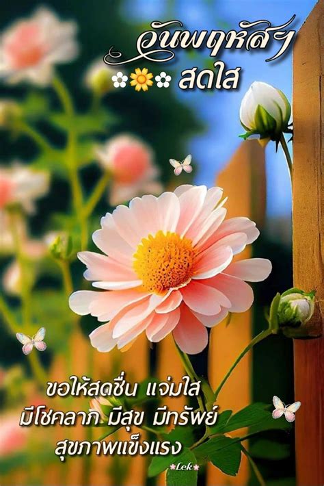 วันพฤหัสฯ สดใส