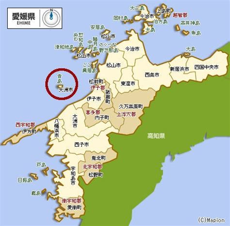 猫島 RIKU REO