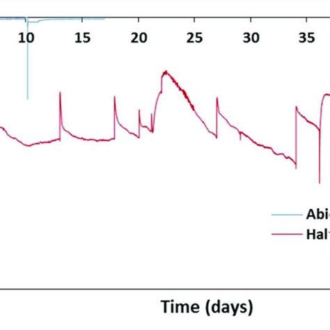 Chronoamperometry Of Half Cell Poised At 02 V And Inoculated By