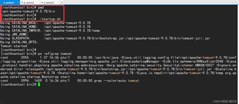 linux中安装tomcat csdn博客