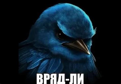 Лучшие мемы 2025 топ 15 самых популярных и смешных мемов этого года
