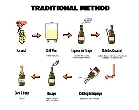 Fermentation Process Of Wine