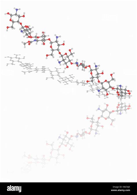 Chitosan Polymer Chain Molecular Model Of Linear Polysaccharide Chitosan Also Known As