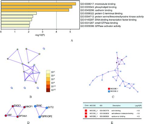 Enrichment Analysis Of The Marker Genes Identified By Pcb Metascape Download Scientific