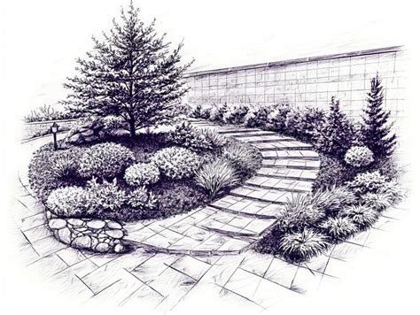 Garden Design Sketch An Artistic Representation Of Garden Landscaping Focusing On Plants And