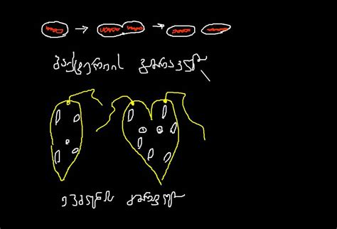 უსქესო გამრავლება Youtube