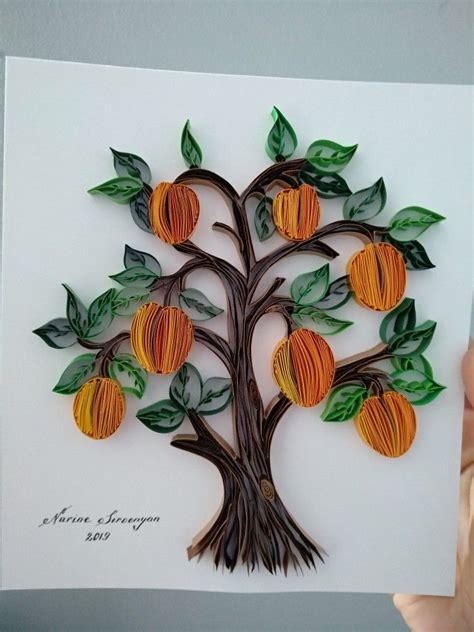 Armenian Apricot Tree