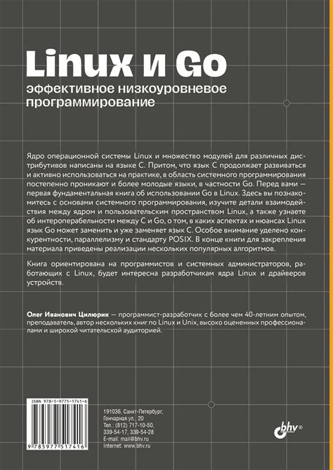 Linux и Go Эффективное низкоуровневое программирование купить от 349₽