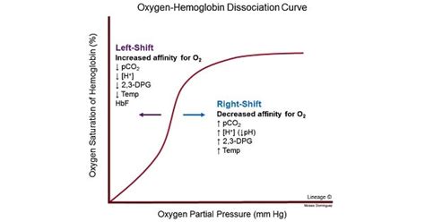 Oxygen Dissociation Curve Oxygen Dissociation Curve