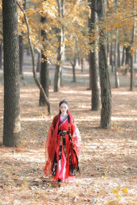 Art Picture Language 20220407 칼은 산과 강과 구름을 부수고 작은 여우 Acridine V2ph