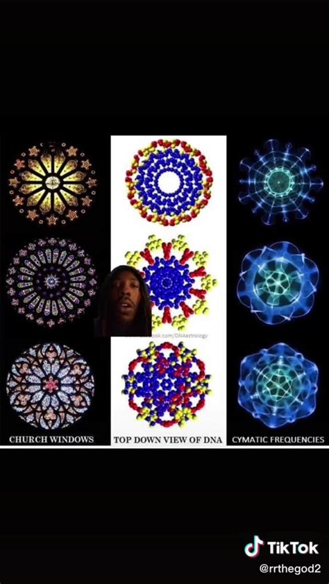 Dna Sacred Geometry One News Page Video