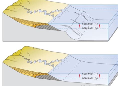 Strat L5 Sequence Stratigraphy I Concepts And Models Flashcards