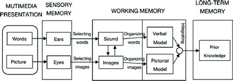 Cognitive Theory Of Multimedia Learning Download Scientific Diagram