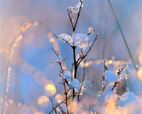 Чому сьогодні не можна мити підлогу заборони та прикмети дня Читайте на Ukr Net