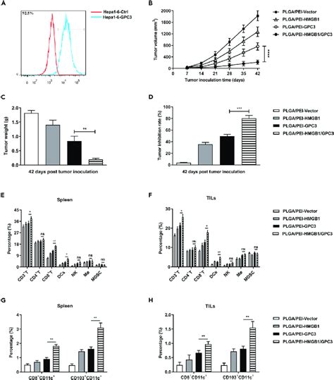 Anti Tumor Effect Of Plga Pei Hmgb1 Gpc3 Vaccine In The Subcutaneous Download Scientific