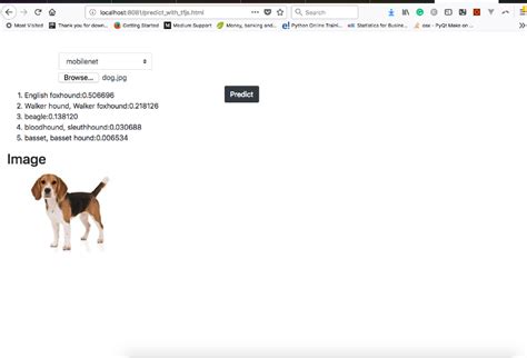 How To Use The Vgg16 Neural Network And Mobilenet With Tensorflow Js