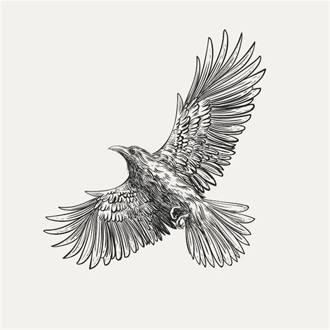 Raven Clipart Images Free Download On Freepik