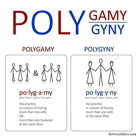 Poligamia Y Poliginia 2021 CULTURA