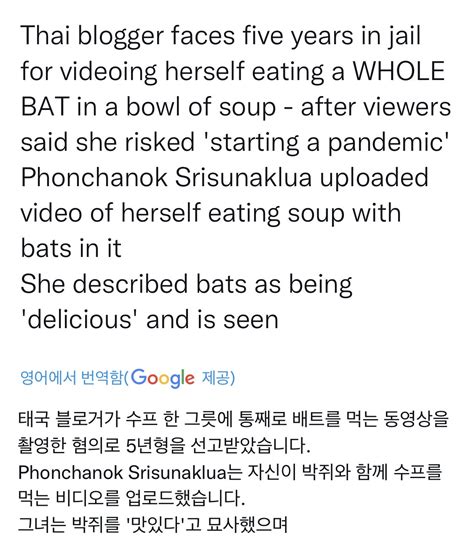 초극혐 태국 여성 유투버 ‘ 박쥐 먹방으로 5년형 ‘ 유머 움짤 이슈 에펨코리아