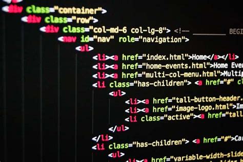 DOMINA la ESTRUCTURA BÁSICA de una PÁGINA HTML