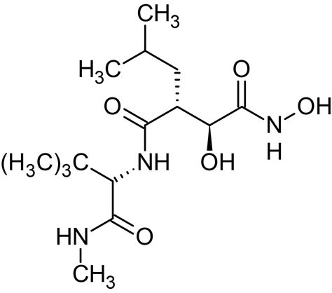 Results For Adam10 Abcam Antibodies Proteins Kits