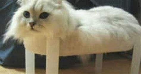 Smashing Dumpkins Album On Imgur