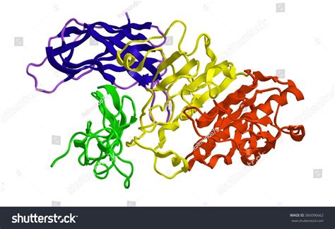 Lipase Enzyme Structure