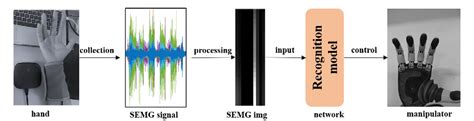 Figure 1 From Dynamic Gesture Recognition Using Surface Emg Signals