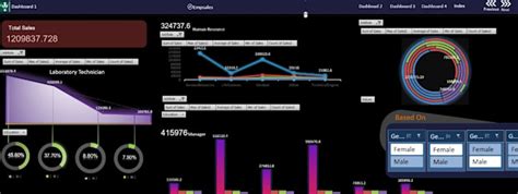 Create Interactive Dashboards In Excel Power Bi And Tableau By Jahnvii Singh Fiverr