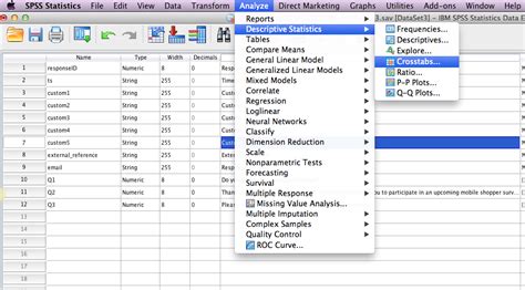 3 Simple Steps To Create Cross Tabs In Spss