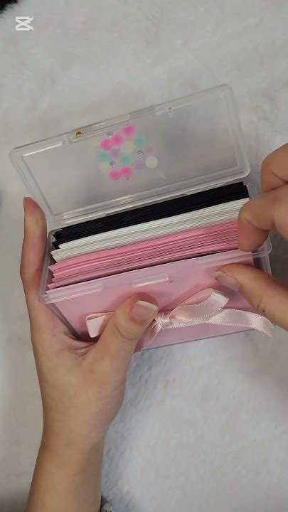 포카포장 유진 1일2영 조명 킴 Youtube