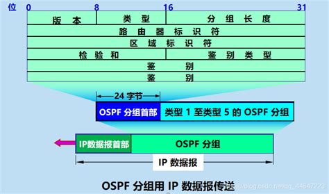 计算机网络 互联网的路由选择协议——ospf ospf洪泛法 csdn博客