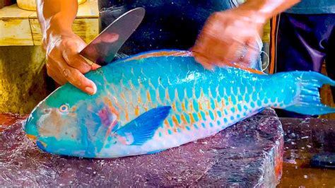 Define Cutter Fish At Tracy Macias Blog