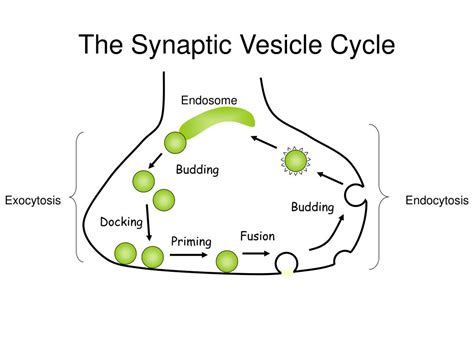 Ppt Announcements Powerpoint Presentation Free Download Id6348853
