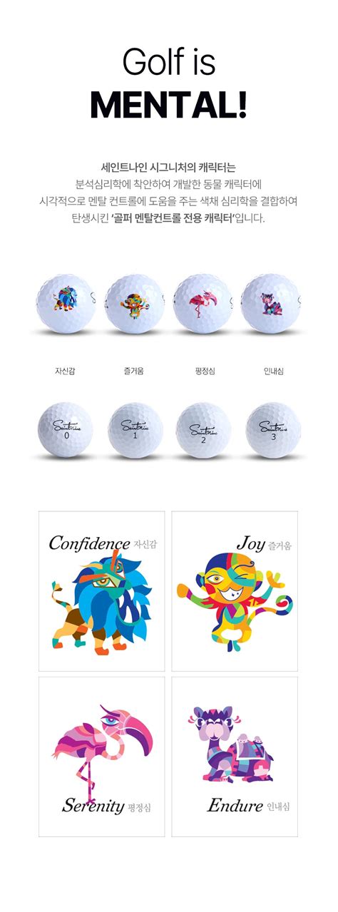 핫딜 4더즌48구 세인트나인 뉴 시그니처 3피스 퍼팅 트랙 골프공 딜팡 골프용품 전문쇼핑몰