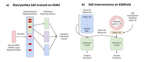 Towards Interpretable Protein Structure Prediction With Sparse
